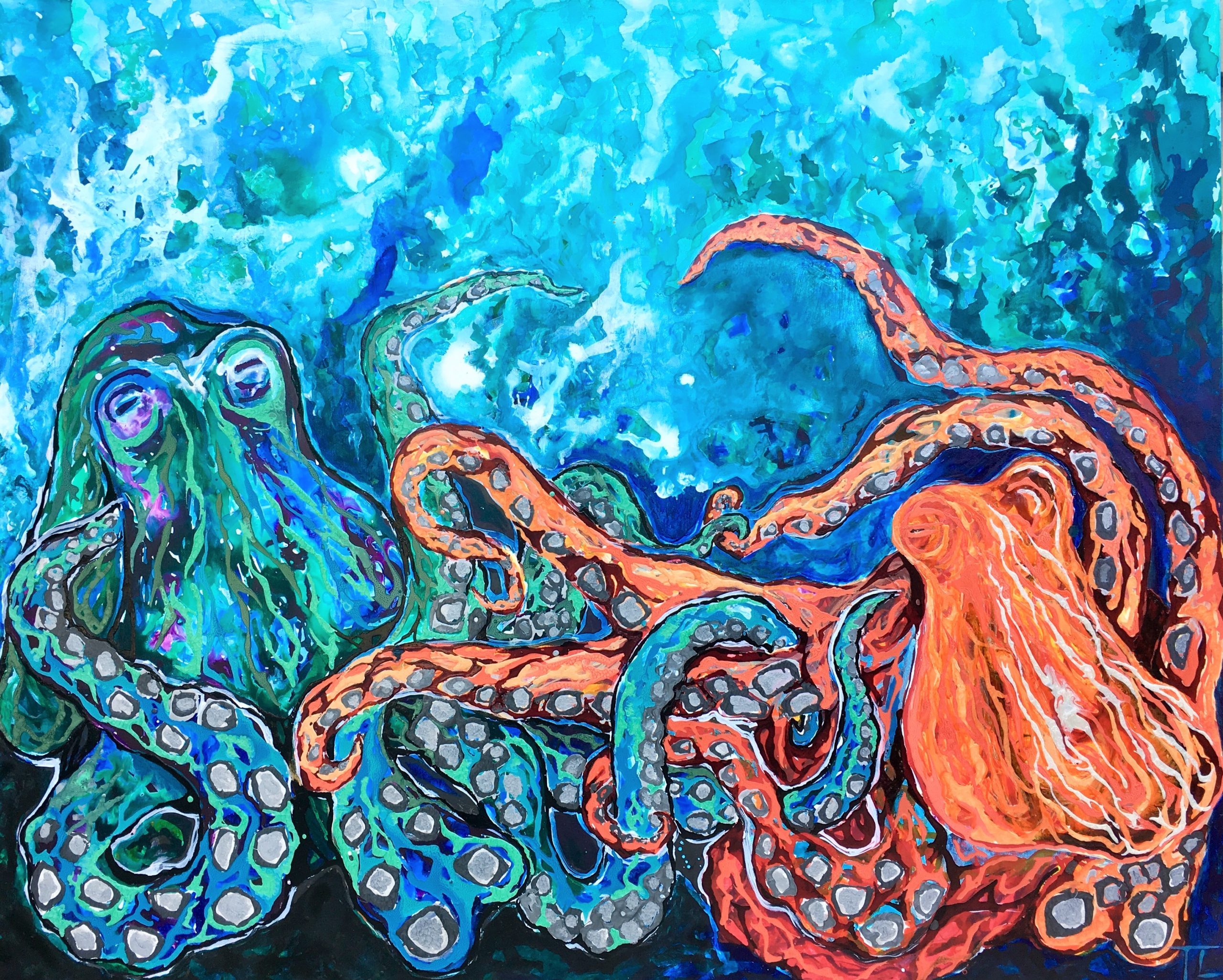 Octopus Spraying Ink