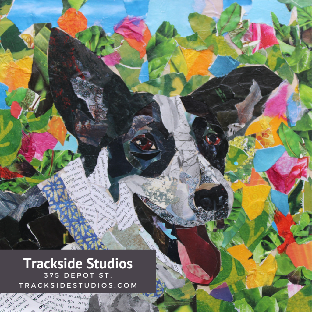 Pet Portrait Collage Workshop - River Arts District Artists