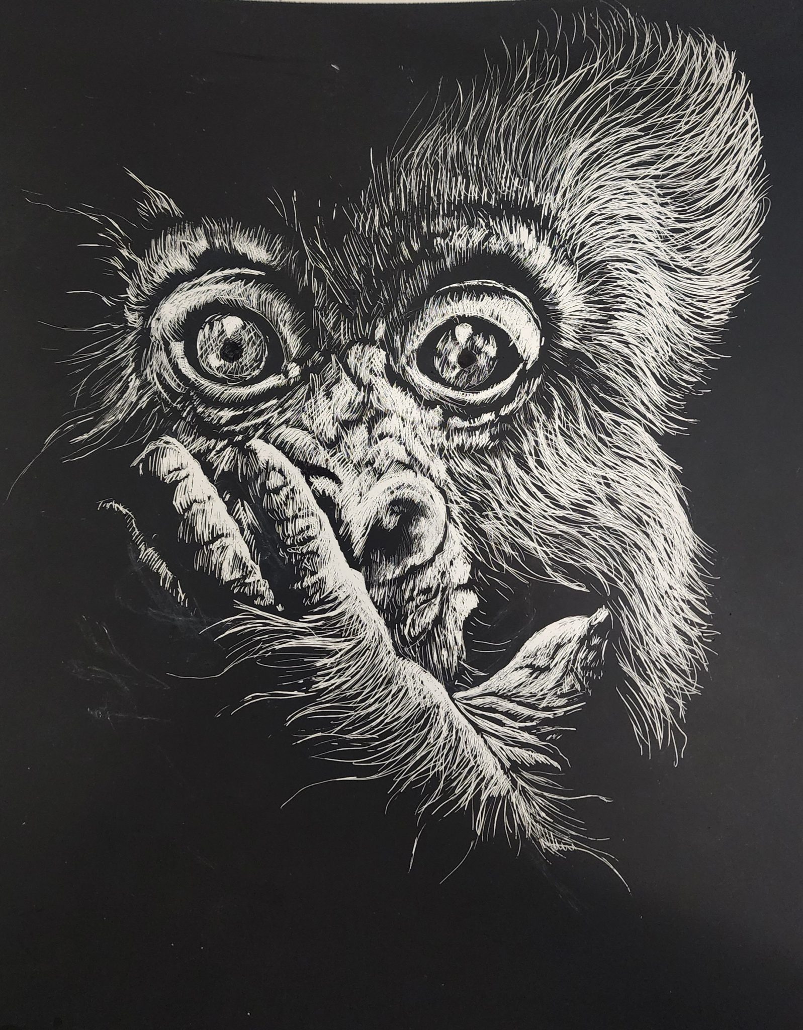 Scratchboard - River Arts District Artists